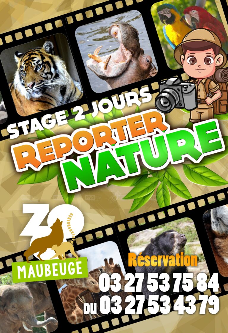 STAGE REPORTER NATURE - Zoo de Maubeuge