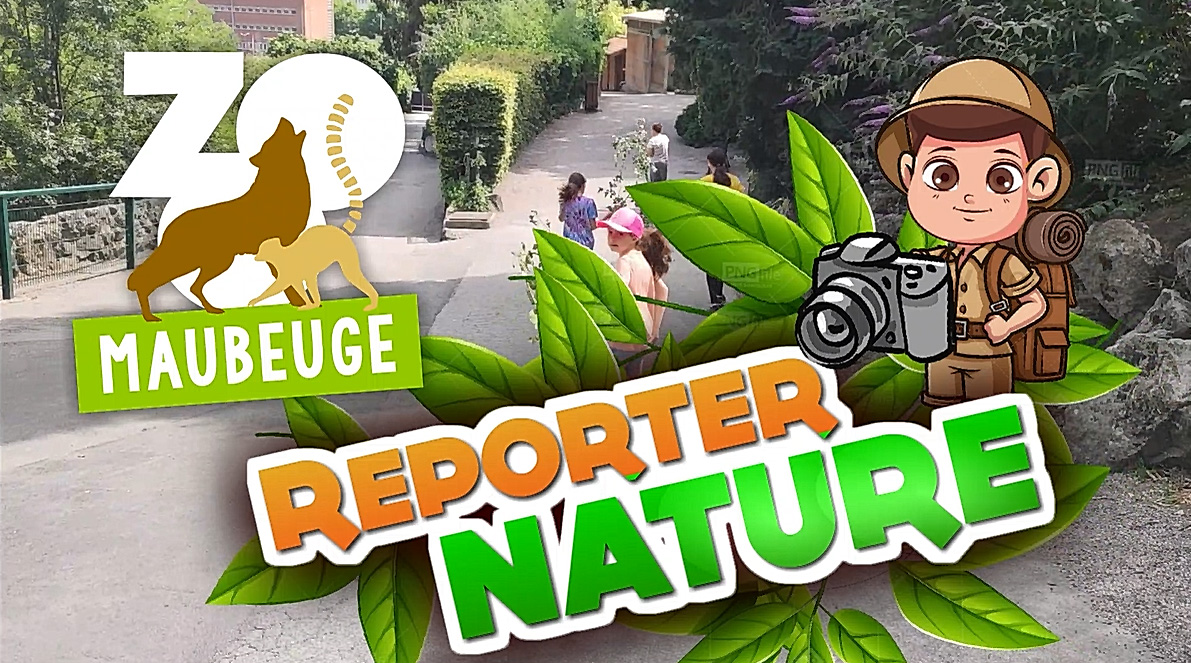 Stage Reporter Nature - Zoo de Maubeuge